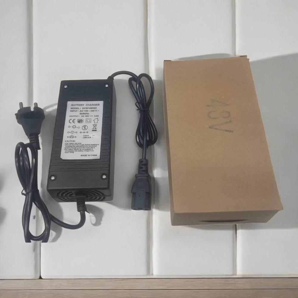 PATOYS | 48 and 60 Volt 3.0A Quick-Charge 3-Hole Charger for EV Vehicle ...