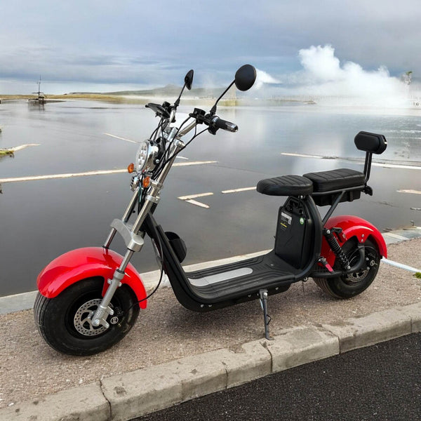 PATOYS | City Coco Electric Scooter | 60V 12Ah Lithium Battery | 35 km ...